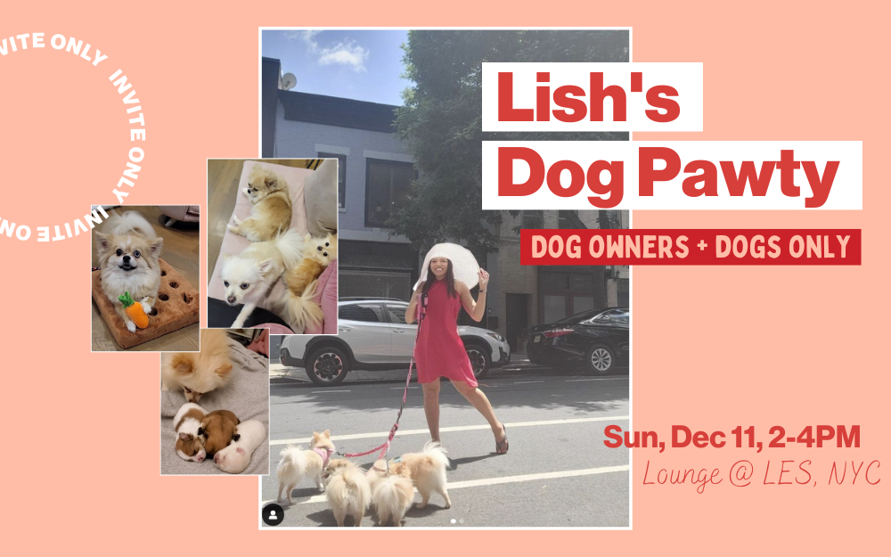 Lish's Dog Pawty 🐶🐕🦮🐩🐕‍🦺🐾 (Dog Owners + Dogs Only!) | NYC Tech Events